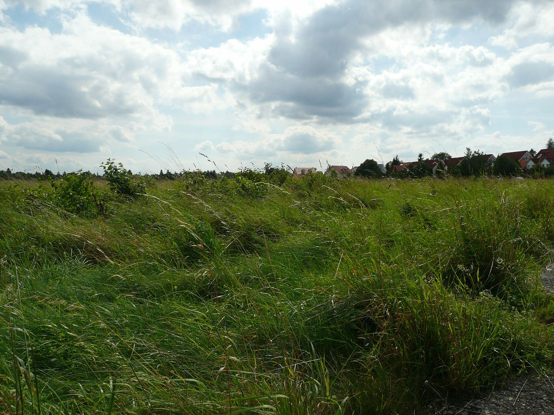 Trudering-Riem - BUND Naturschutz in Bayern e.V.
